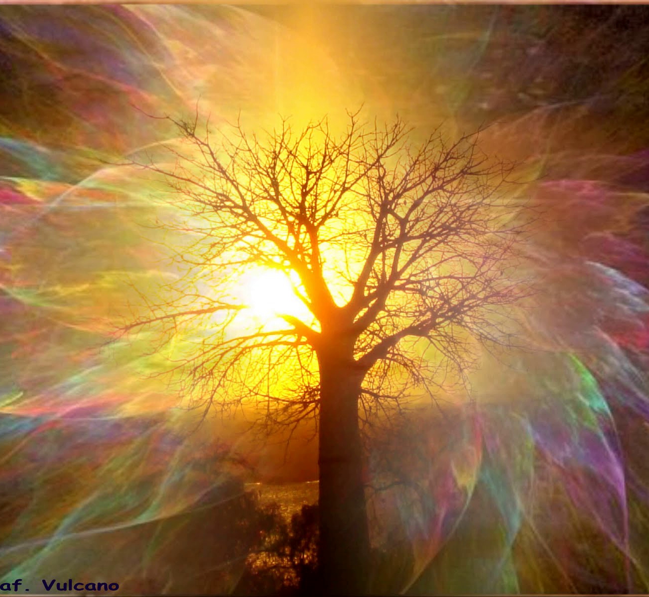 Corso Biodanza Milano 2024-2025 - Ugo Rizzo - "Le EMOZIONI della Salute ...